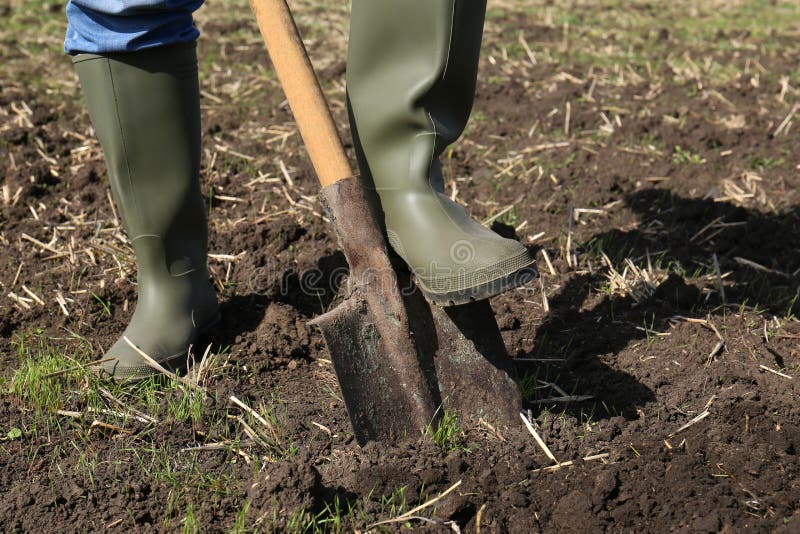 Man Digging Soil with Shovel in Field, Closeup Stock Photo - Image of ...