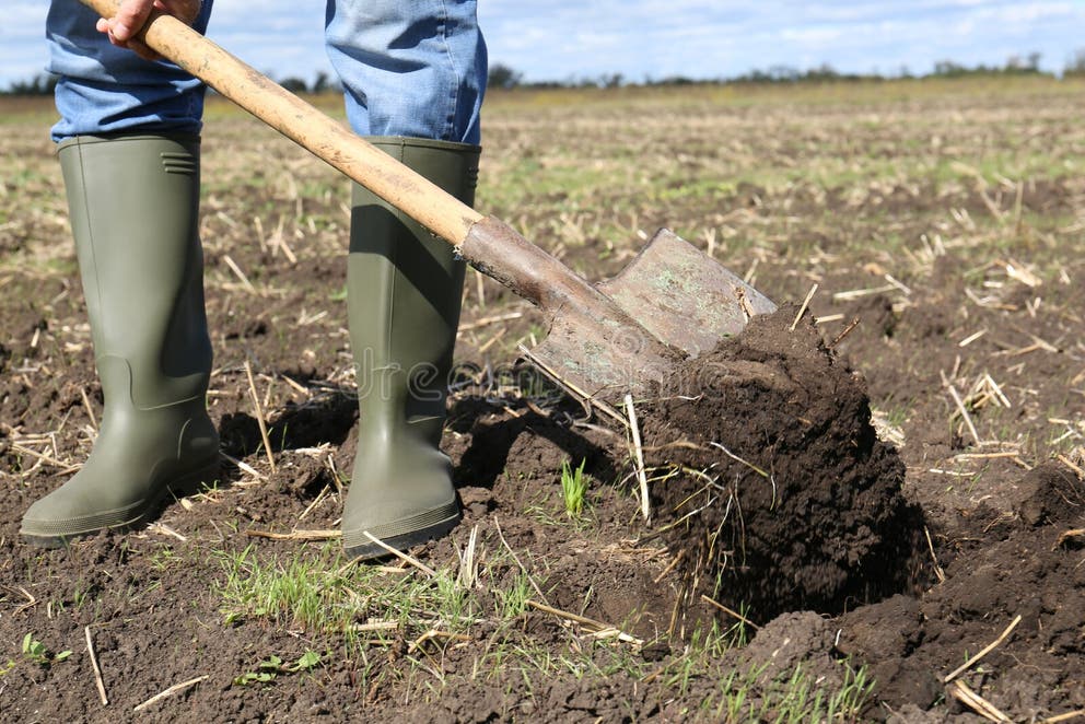 Man Digging Soil with Shovel in Field, Closeup Stock Photo - Image of ...