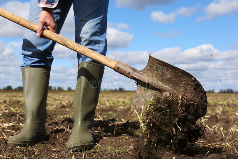 Man Digging Soil with Shovel in Field, Closeup Stock Image - Image of ...