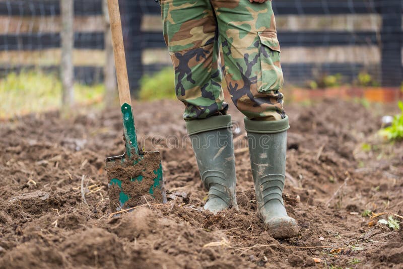 Man Digging with Spade in Garden Stock Image - Image of equipment ...
