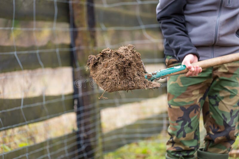 Man Digging with Spade in Garden Stock Photo - Image of gardening ...