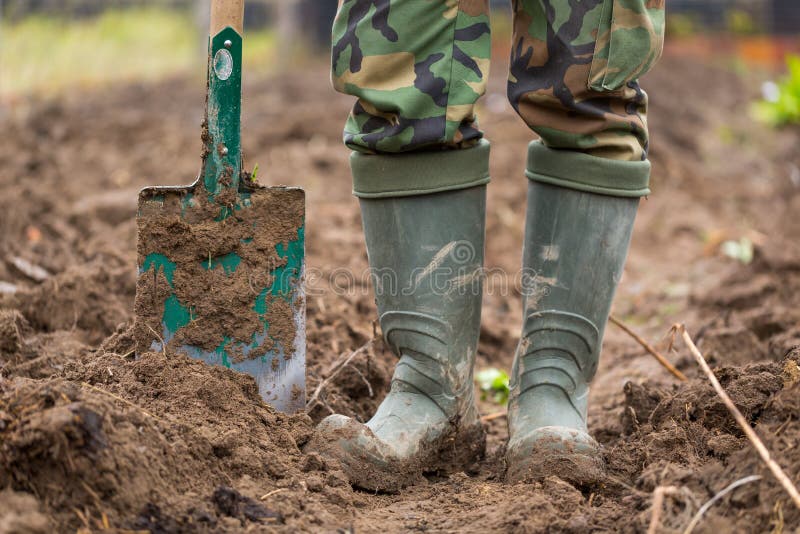 Man Digging with Spade in Garden Stock Image - Image of depth, person ...