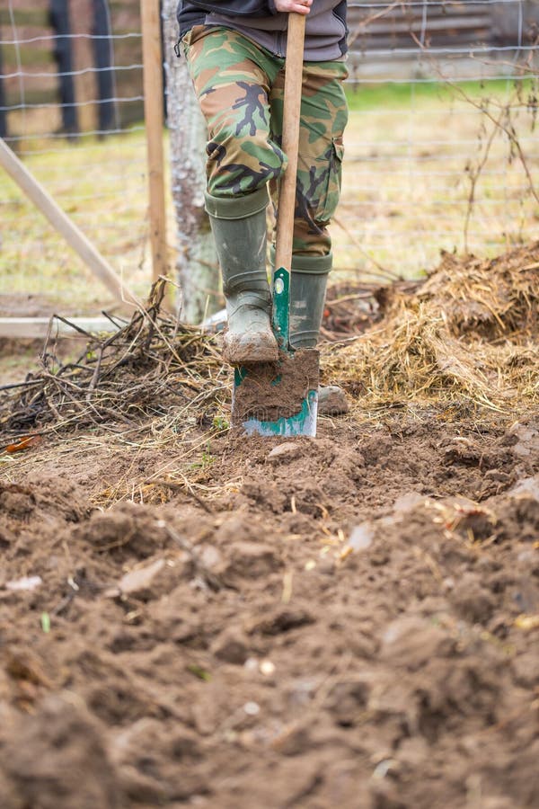 Man Digging with Spade in Garden Stock Photo - Image of hobby, cleaning ...