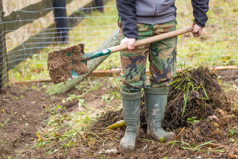 Man Digging with Spade in Garden Stock Image - Image of outdoors ...