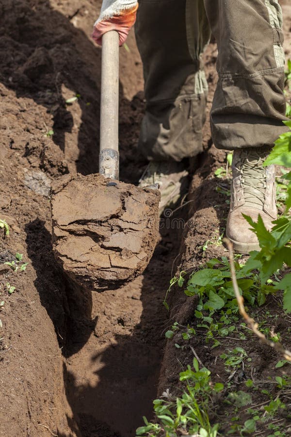 Man Digging a Trench in the Park Stock Image - Image of laborer, active ...