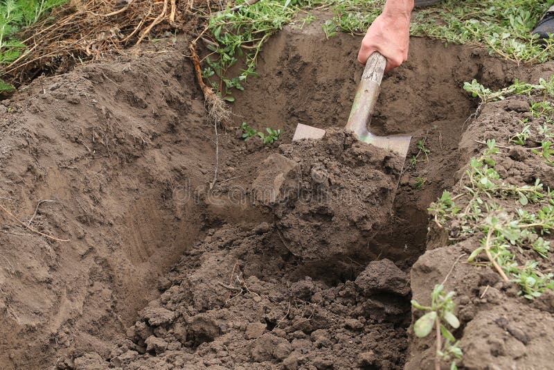Man Digs a Deep Pit. Digging a Pit by Shovel Stock Photo - Image of ...