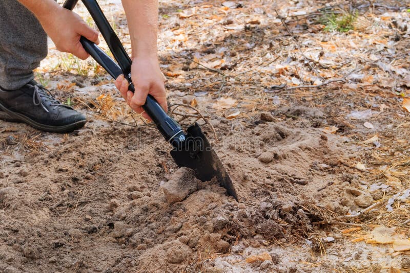 Man Digs Soil with a Shovel in the Forest. Black Shovel in Human Hands ...