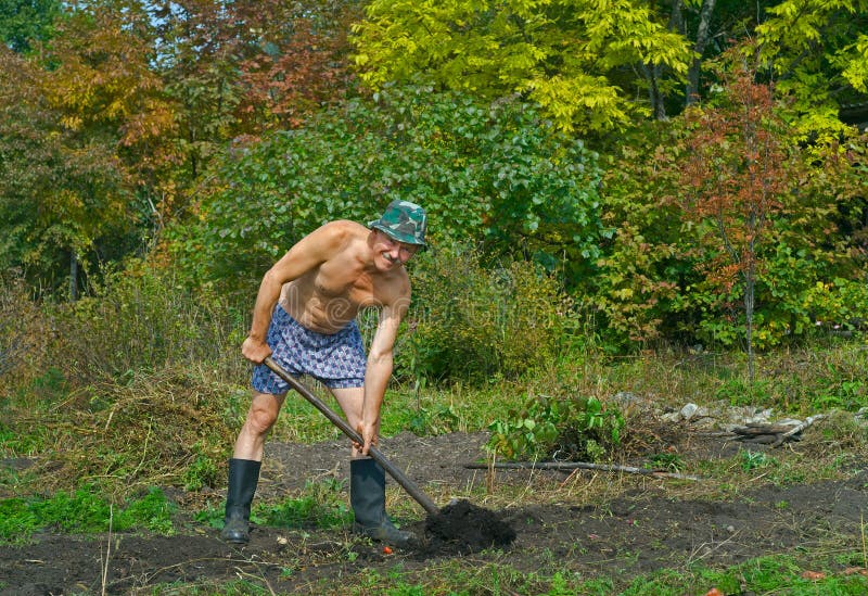 Man digs with spade 2 stock image. Image of garden, spade - 19924645