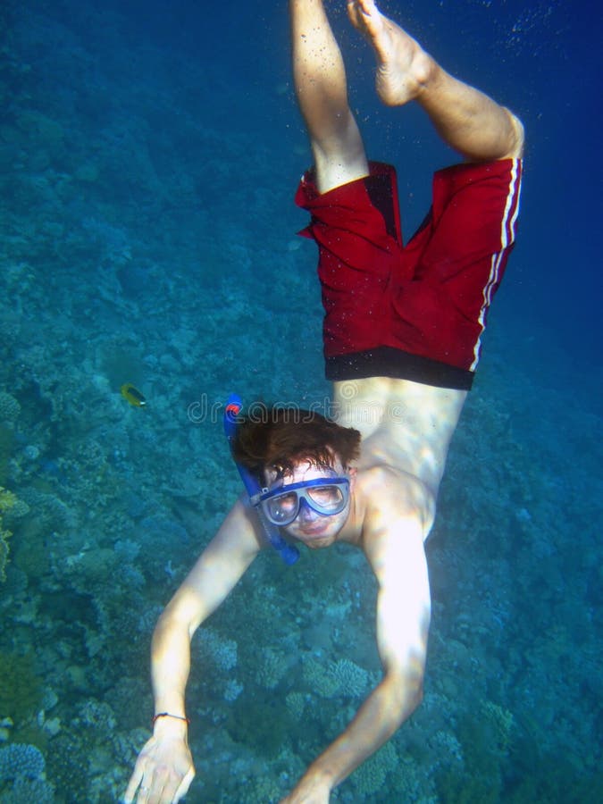 Man dive in deep blue stock photo. Image of holidays, mediterranean ...