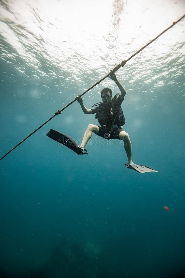 Man Diving in Deep Blue Indian Ocean Stock Image - Image of ocean ...