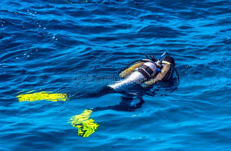 A Man in Diving Equipment on the Surface of the Sea Stock Photo - Image ...
