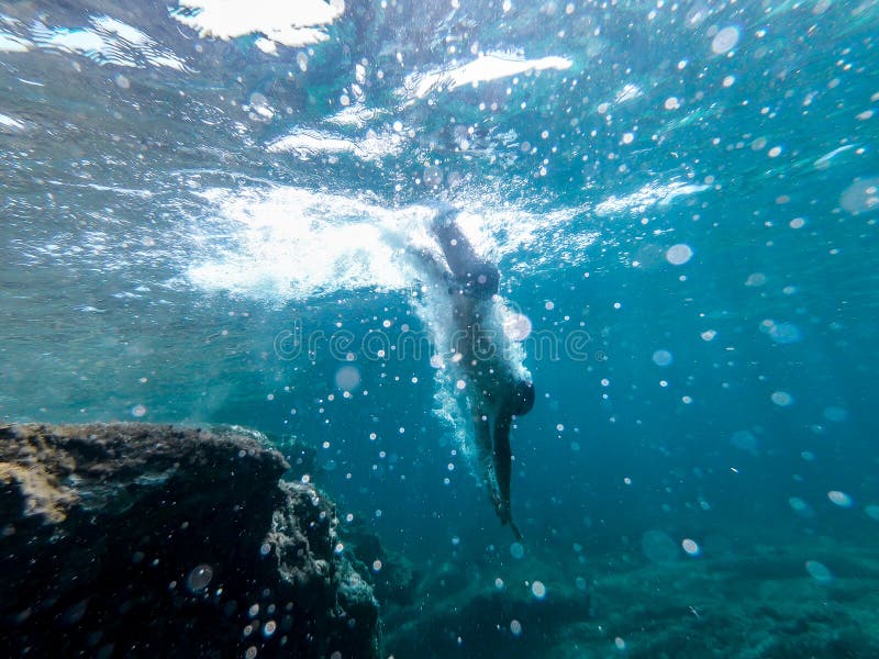 Diving Headfirst Stock Photos - Free & Royalty-Free Stock Photos from ...