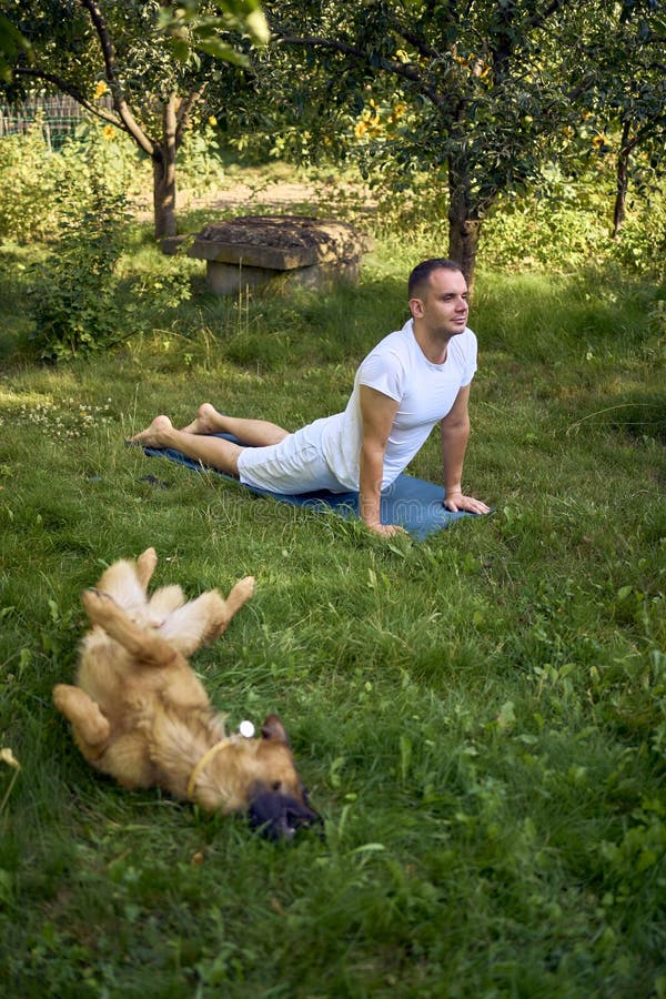 Man Does Somatic Exercises with His Dog in the Garden in the Morning ...