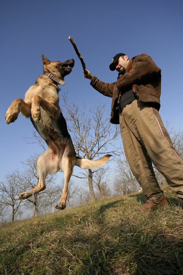 Man and dog stock image. Image of manly, active, german - 4299517