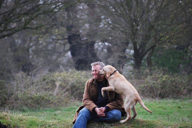Man and dog stock image. Image of forest, affection, labrador - 4949469