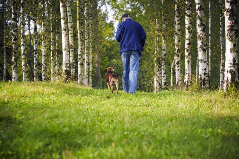 Man dog forest trees stock photo. Image of walk, person - 53733756