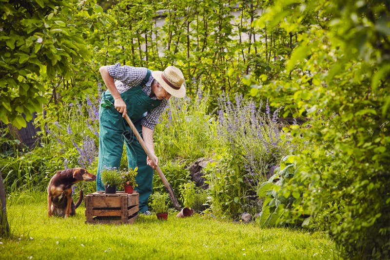 Person Working In Garden Free Community Garden Gathering Image