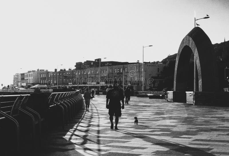 Man and dog editorial stock photo. Image of rails, summer - 95654333