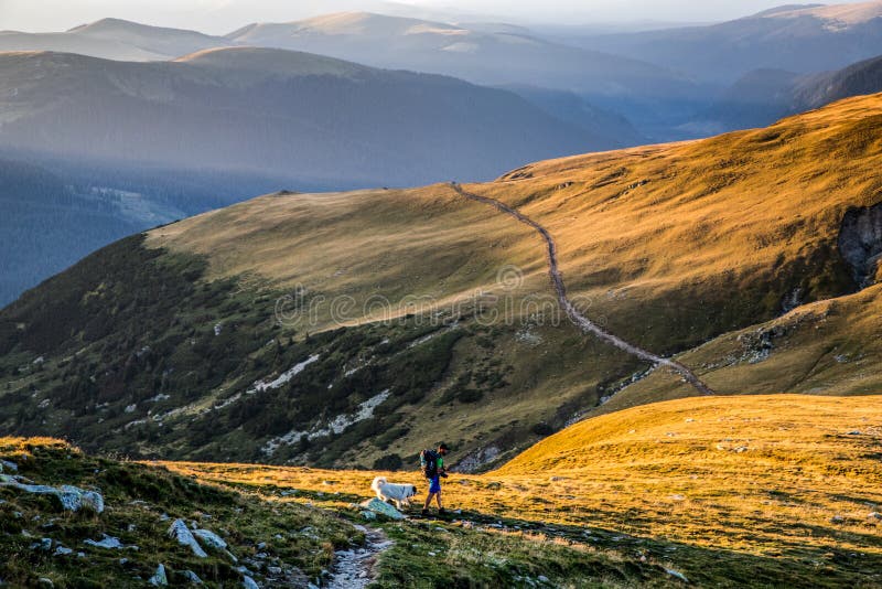 Man and Dog Trekking in High Mountains Stock Image - Image of trip ...