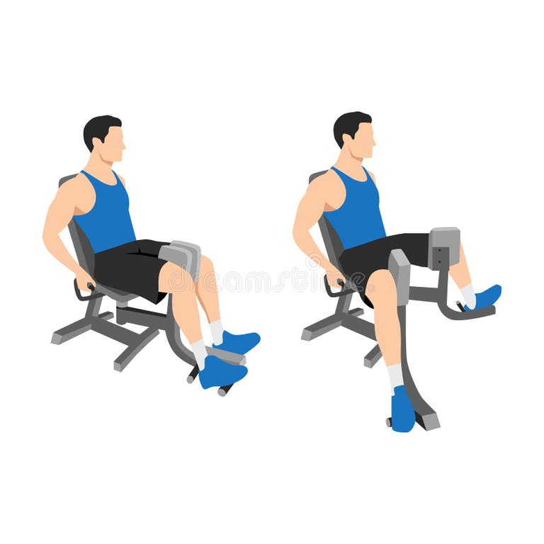 Hip Adduction Stock Illustrations – 17 Hip Adduction Stock ...