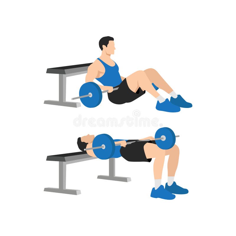 Man Doing Barbell Hip Thrusts Exercise. Stock Vector - Illustration of ...