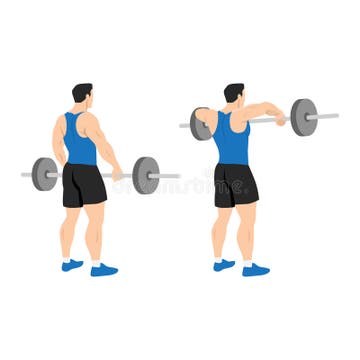 Back Row Exercise Stock Illustrations – 163 Back Row Exercise Stock ...
