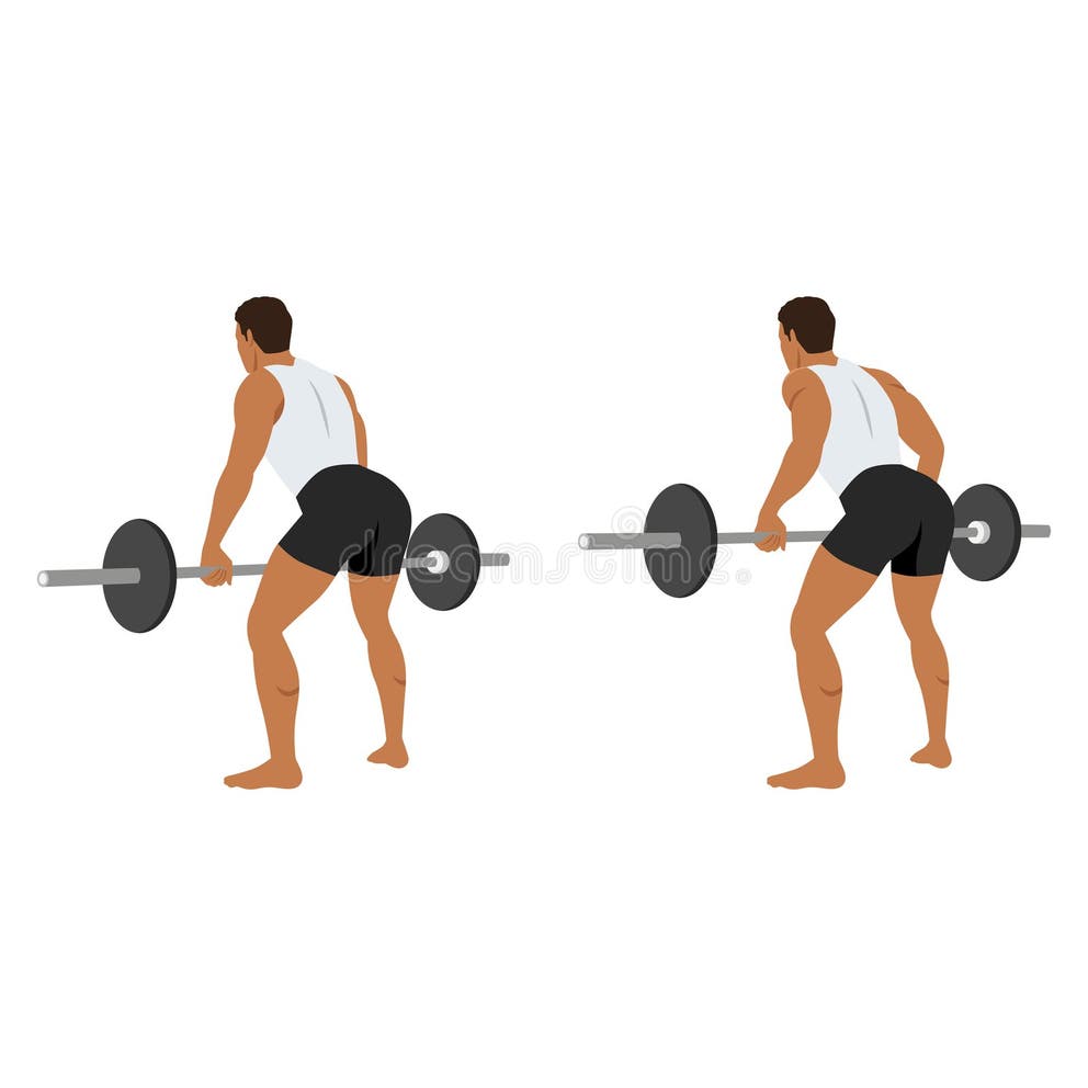 Barbell Bent Over Rows Stock Illustrations – 28 Barbell Bent Over Rows ...