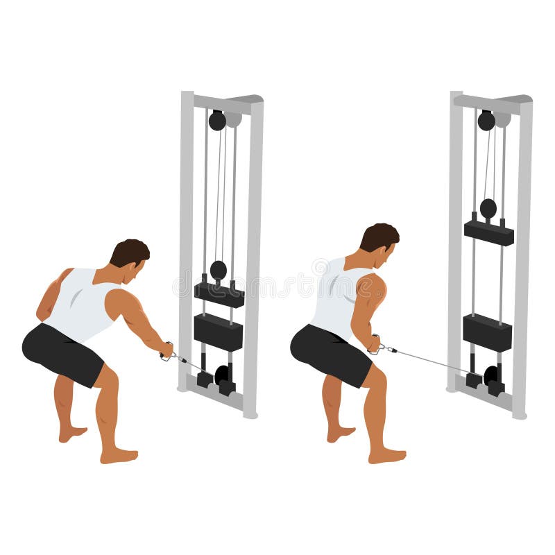 Cable Row Exercise Stock Illustrations – 65 Cable Row Exercise Stock ...