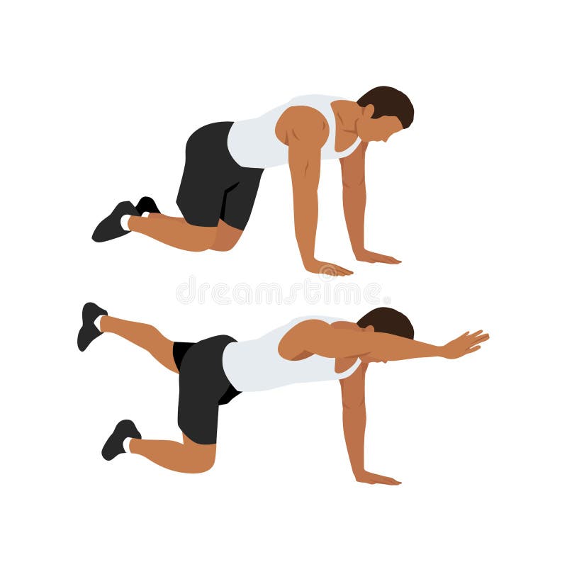 Cartoon Bird Dog Exercise Stock Illustrations – 65 Cartoon Bird Dog ...