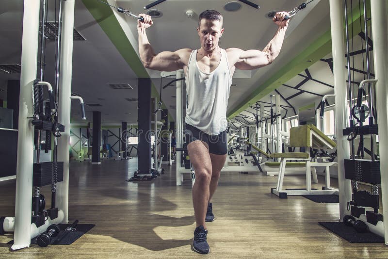 Man Doing Cable Fly Exercise in Gym Stock Image - Image of male ...