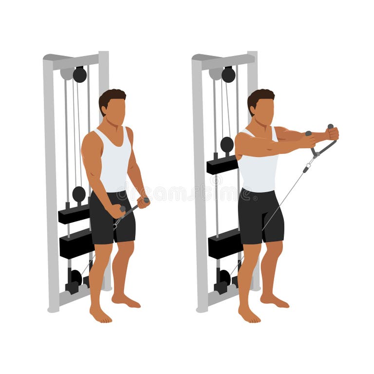 Cable Exercise Shoulder Stock Illustrations – 52 Cable Exercise ...