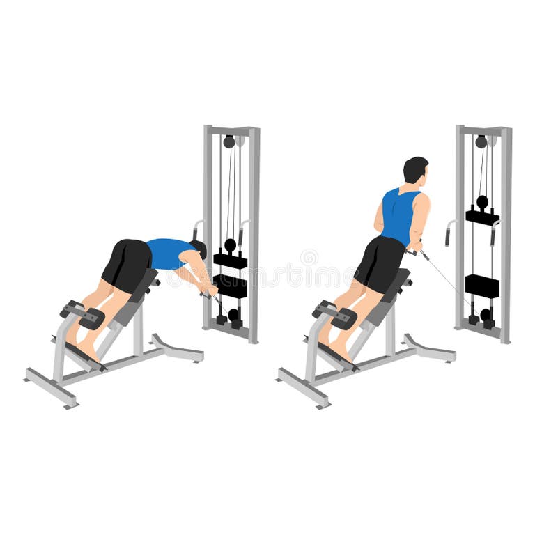 Back Row Exercise Stock Illustrations – 212 Back Row Exercise Stock ...