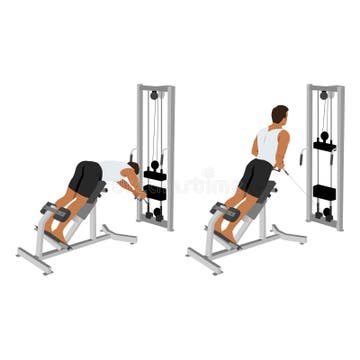 Back Row Exercise Stock Illustrations – 212 Back Row Exercise Stock ...