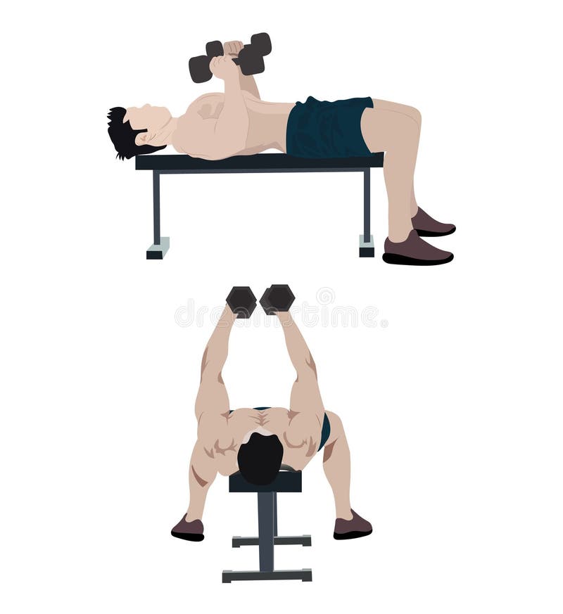 A Man Doing Dumbbell Bench Press Exercise with Both Hands and Showing ...