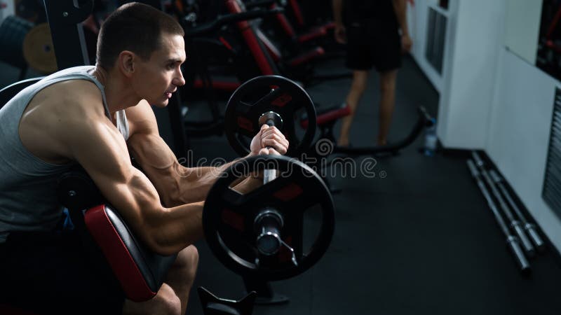 Man Doing EZ Barbell Bicep Exercises on Scott Bench. Stock Image ...