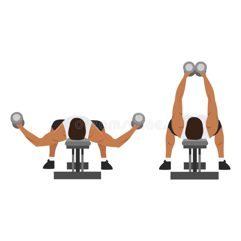 Man Doing Flat Bench Dumbbell Fly Exercise. Top View Stock Illustration ... Man Doing Flat Bench Dumbbell Fly Exercise. Top View Stock Illustration ...