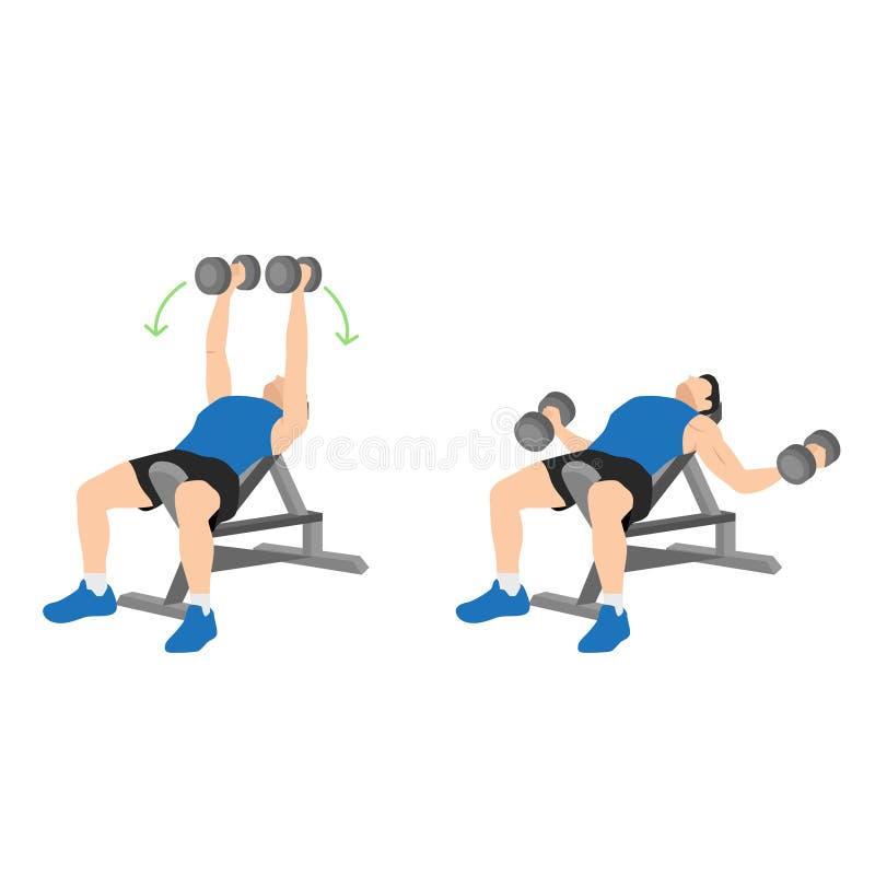 Man Doing Incline Bench Dumbbell Flyes Exercise. Stock Illustration ...