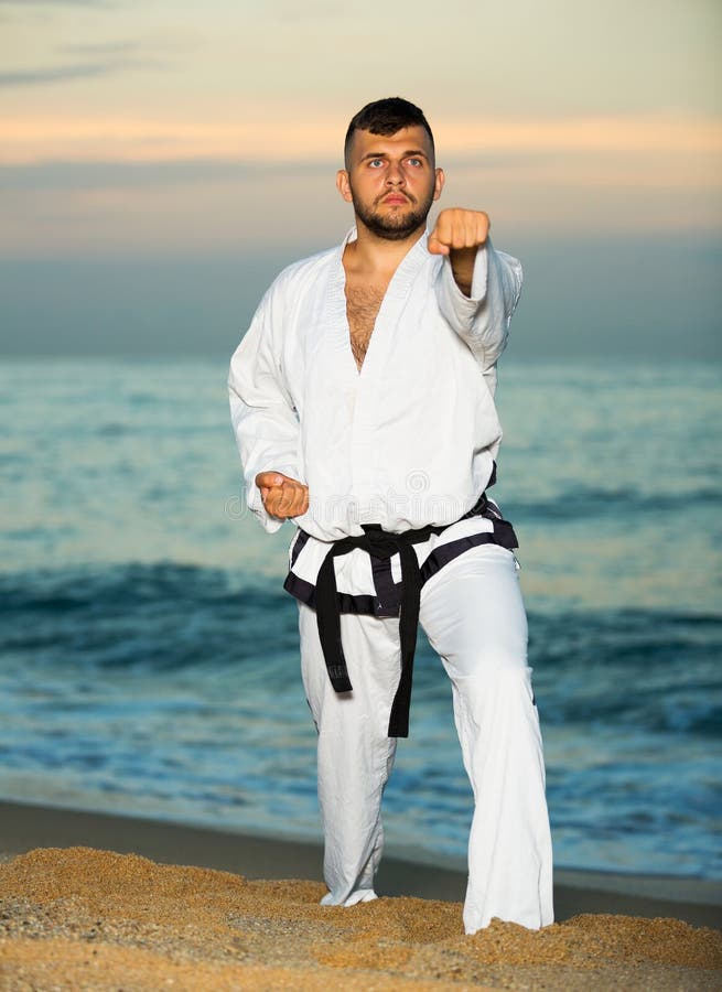 1,046 Karate Poses Stock Photos - Free & Royalty-Free Stock Photos from ...