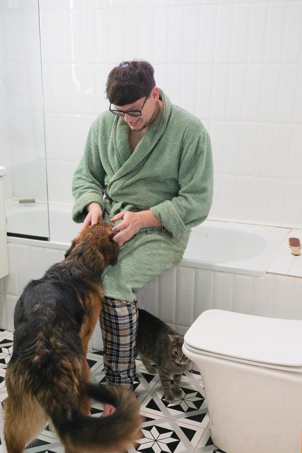 Cat Petting Machine Stock Photos - Free & Royalty-Free Stock Photos ...