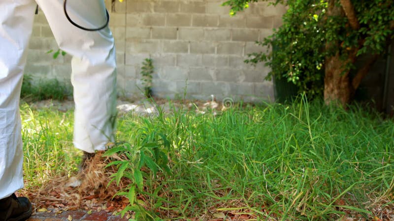 Pest Control Service Workers Doing Fumigation in Cargo Hold of Grain ...