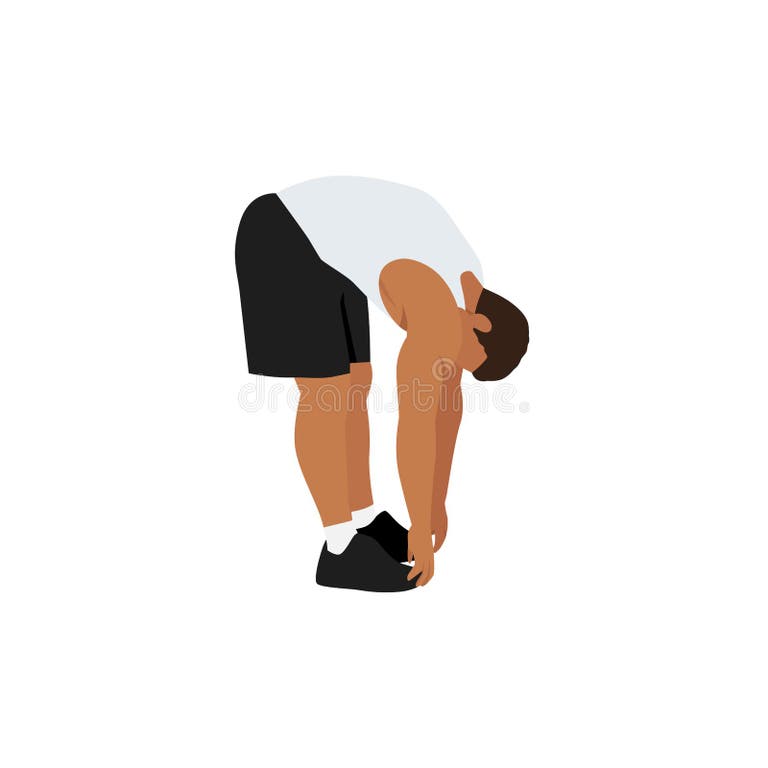 Forward Fold Stretch Stock Illustrations – 71 Forward Fold Stretch ...