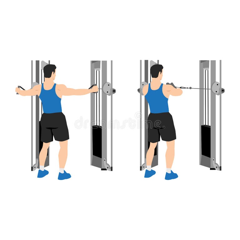 Cable Exercise Leg Stock Illustrations – 81 Cable Exercise Leg Stock ...