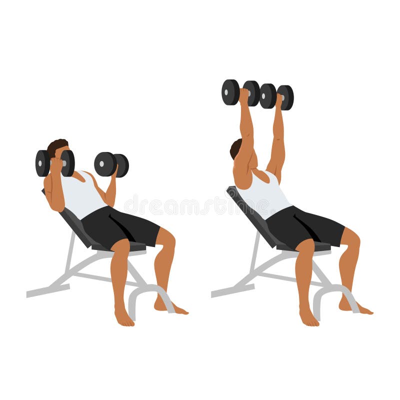 Dumbbell Bench Press Stock Illustrations – 1,080 Dumbbell Bench Press ...