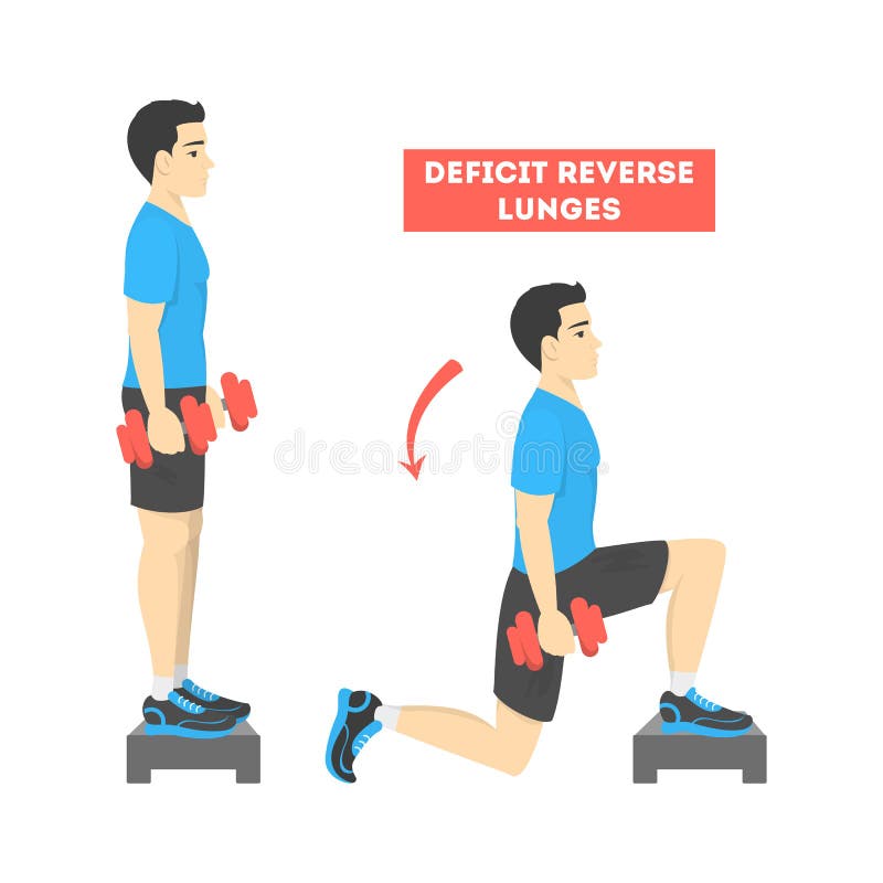 Man Doing Reverse Lunges Exercise for Fit Body Stock Vector ...