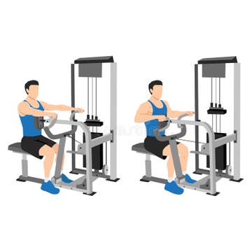 Back Row Exercise Stock Illustrations – 212 Back Row Exercise Stock ...