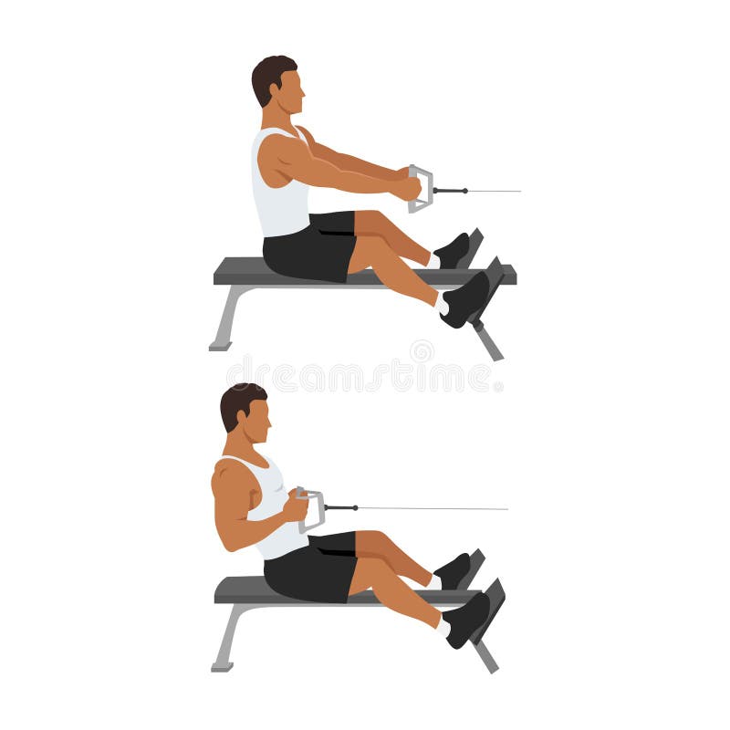 Man Doing Seated Low Cable Back Rows Exercise. Flat Vector Stock ...