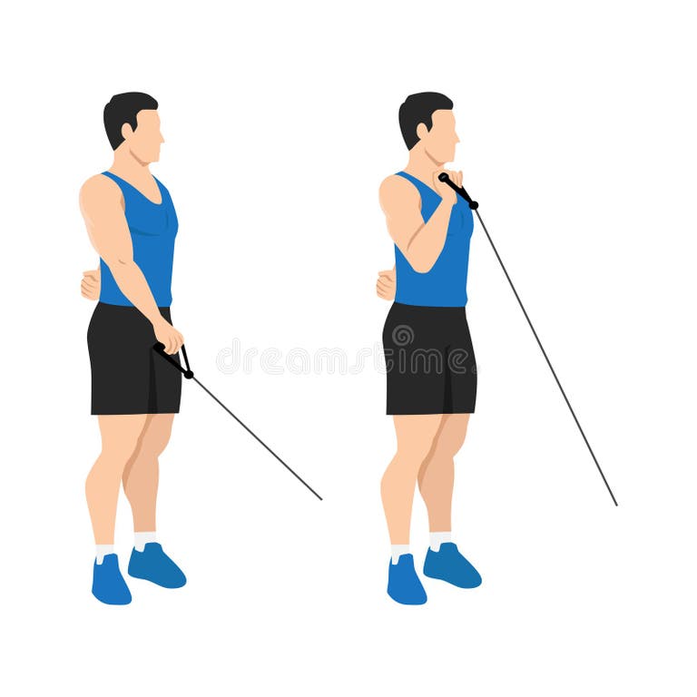 Bicep Cable Curl Stock Illustrations – 24 Bicep Cable Curl Stock ...