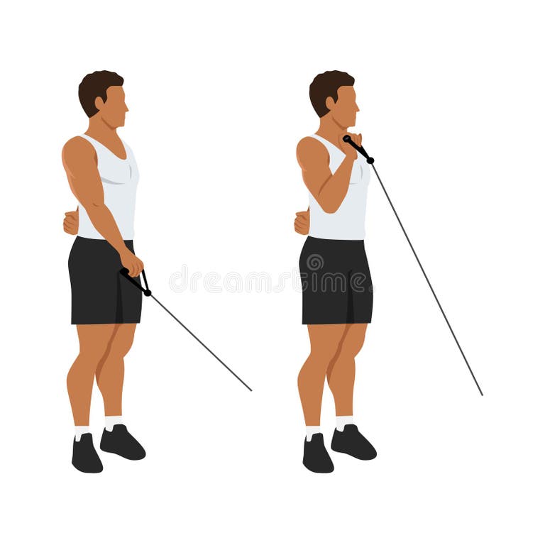 Bicep Cable Curl Stock Illustrations – 24 Bicep Cable Curl Stock ...