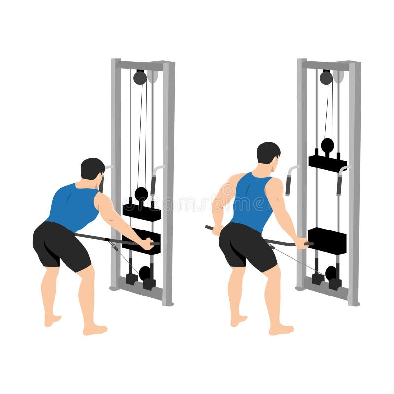 Cable Row Exercise Stock Illustrations – 65 Cable Row Exercise Stock ...