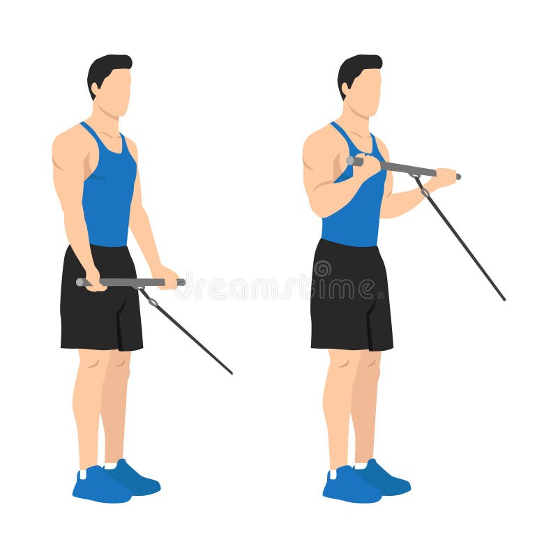 Cable Bicep Stock Illustrations – 40 Cable Bicep Stock Illustrations ...
